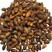 In-shell Pinon Nuts 3 Oz - Etsy