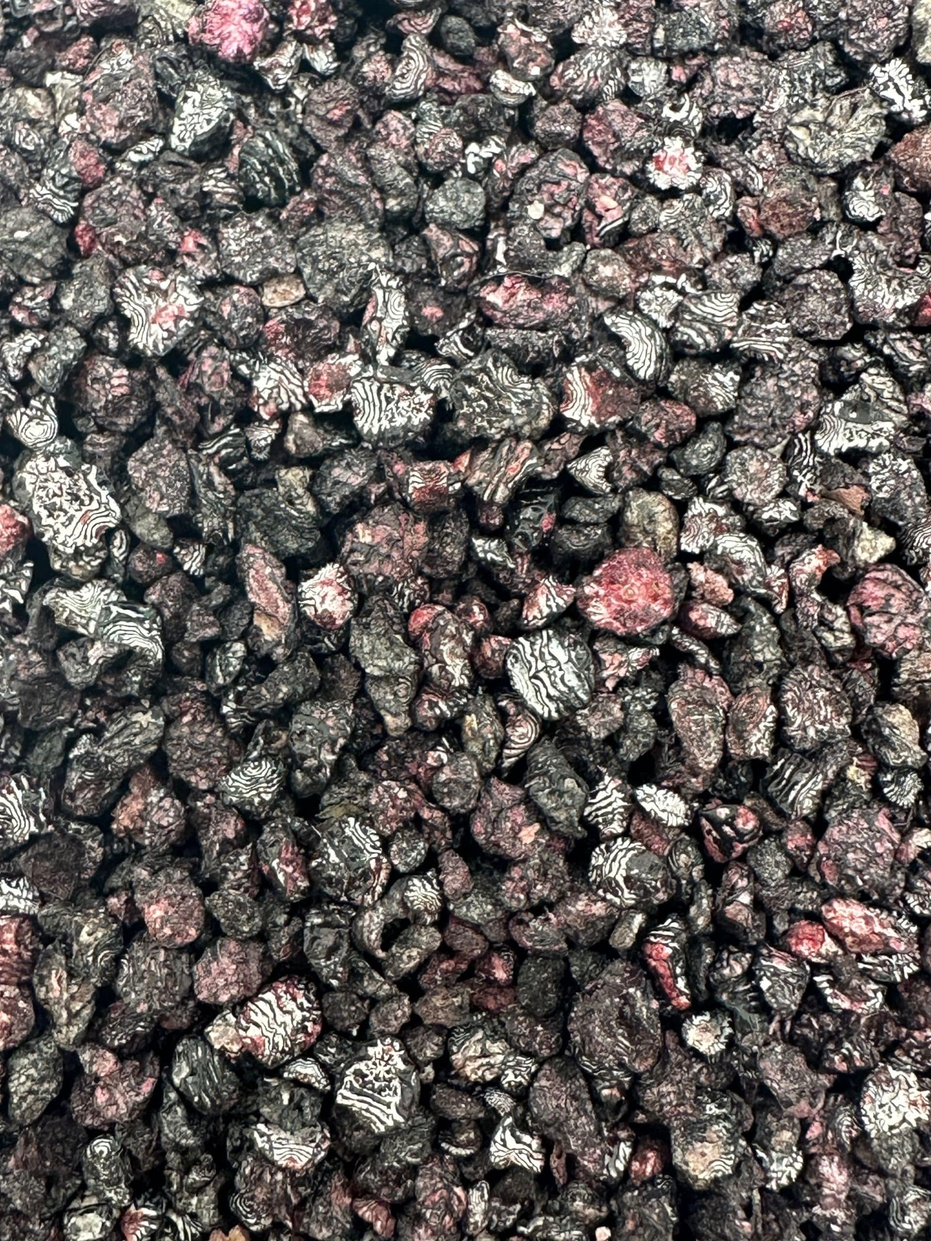 Dried Cochineal - Natural Dye - Etsy
