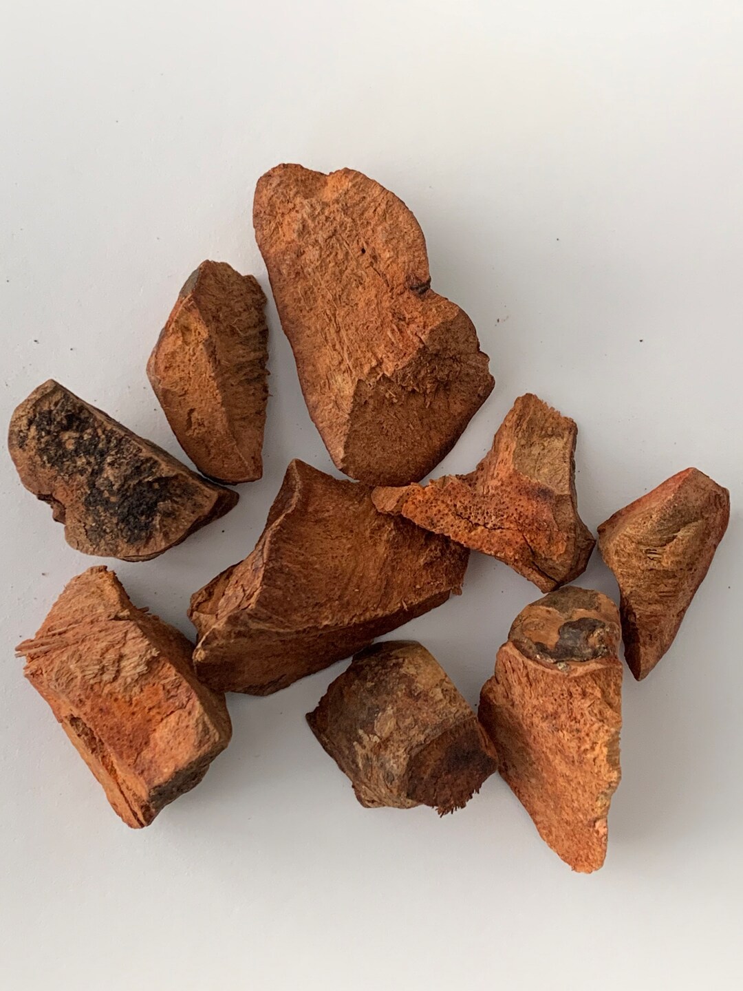 Chaney Root (cocolmeca) 1 Oz Dried - Etsy