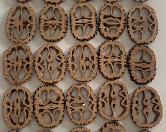50 Walnut Slices, Walnut Shell Slices, Wild American Black Walnuts ...