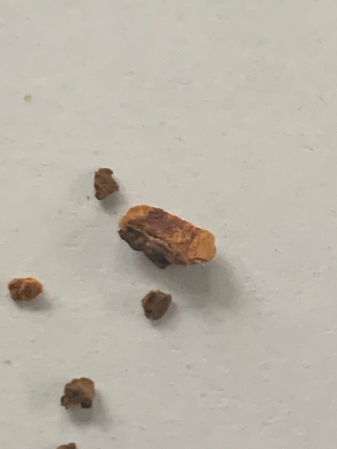 1 Oz. Sassafras Root Bark C/s Cut and Sifted (sassafras Albidum) - Etsy