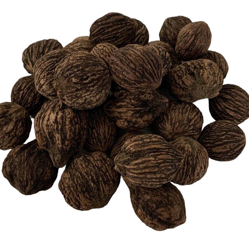 Black Walnut Shells - Etsy