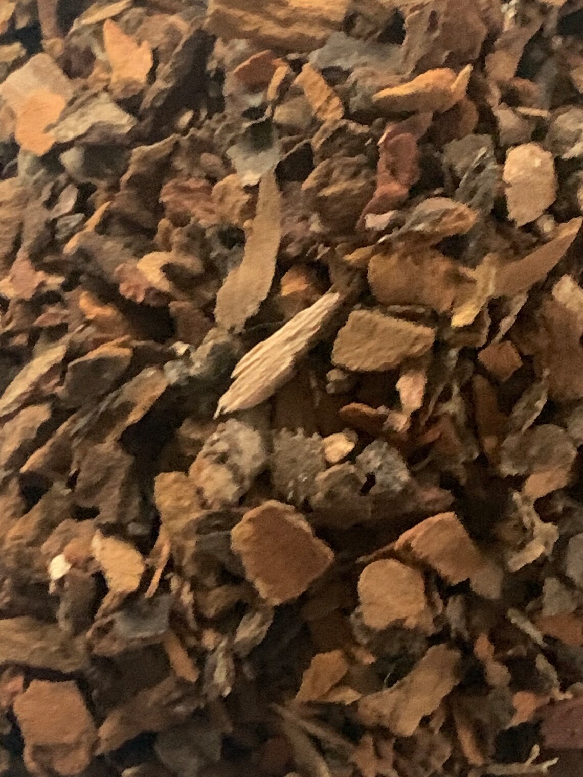 1 Oz. Sassafras Root Bark C/s Cut and Sifted sassafras Albidum - Etsy