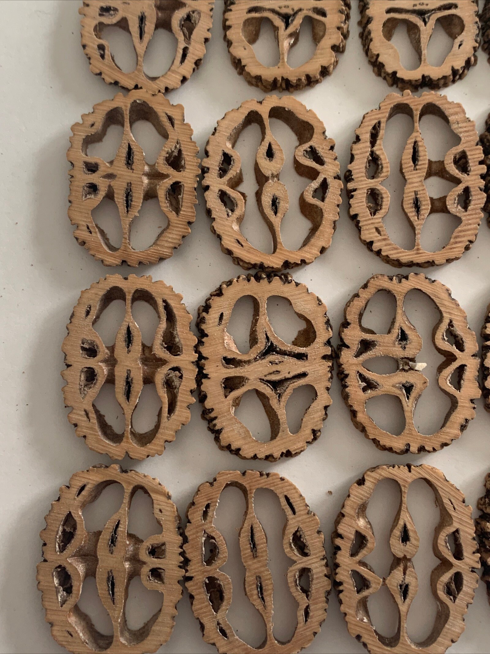 25 Black Walnut Shell Slices - Etsy