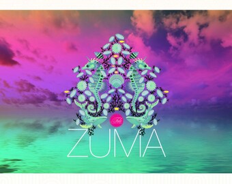 Tula Pink Zuma Fabric - Etsy