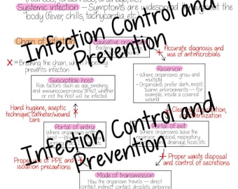Head to Toe Assessment Cheat Sheet - Etsy