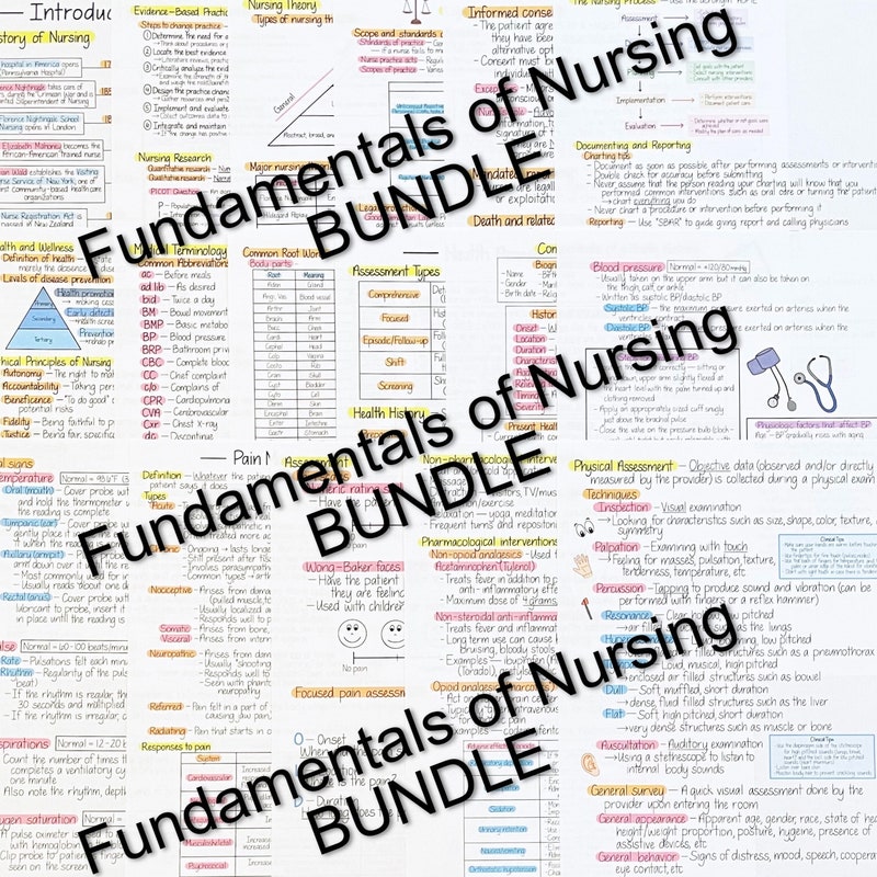 Nursing Study Guides - Etsy