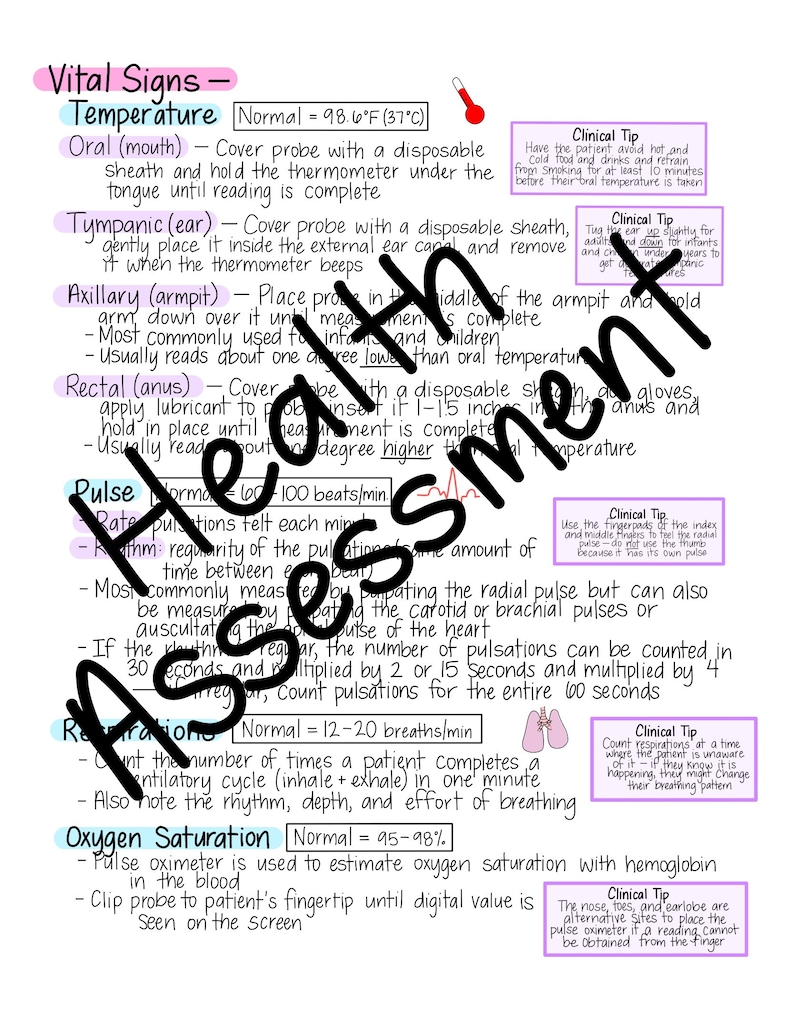 Health Assessment & Vital Signs Nursing study guide | Etsy