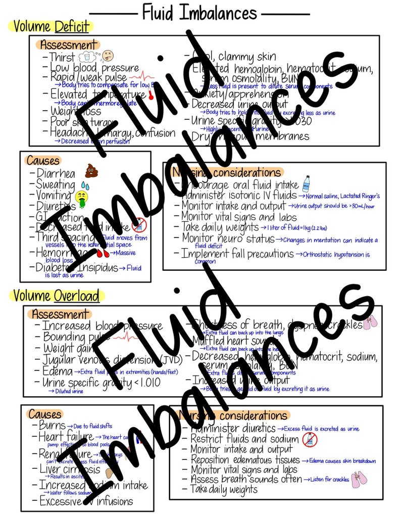 Fluid Imbalances - Nursing Study Guide - Etsy