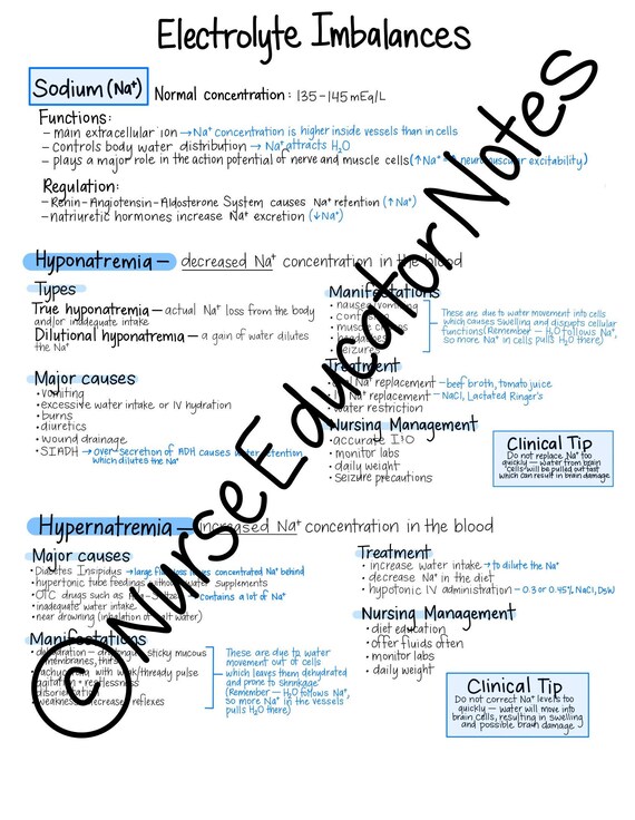 Electrolyte Imbalances Nursing study guide | Etsy
