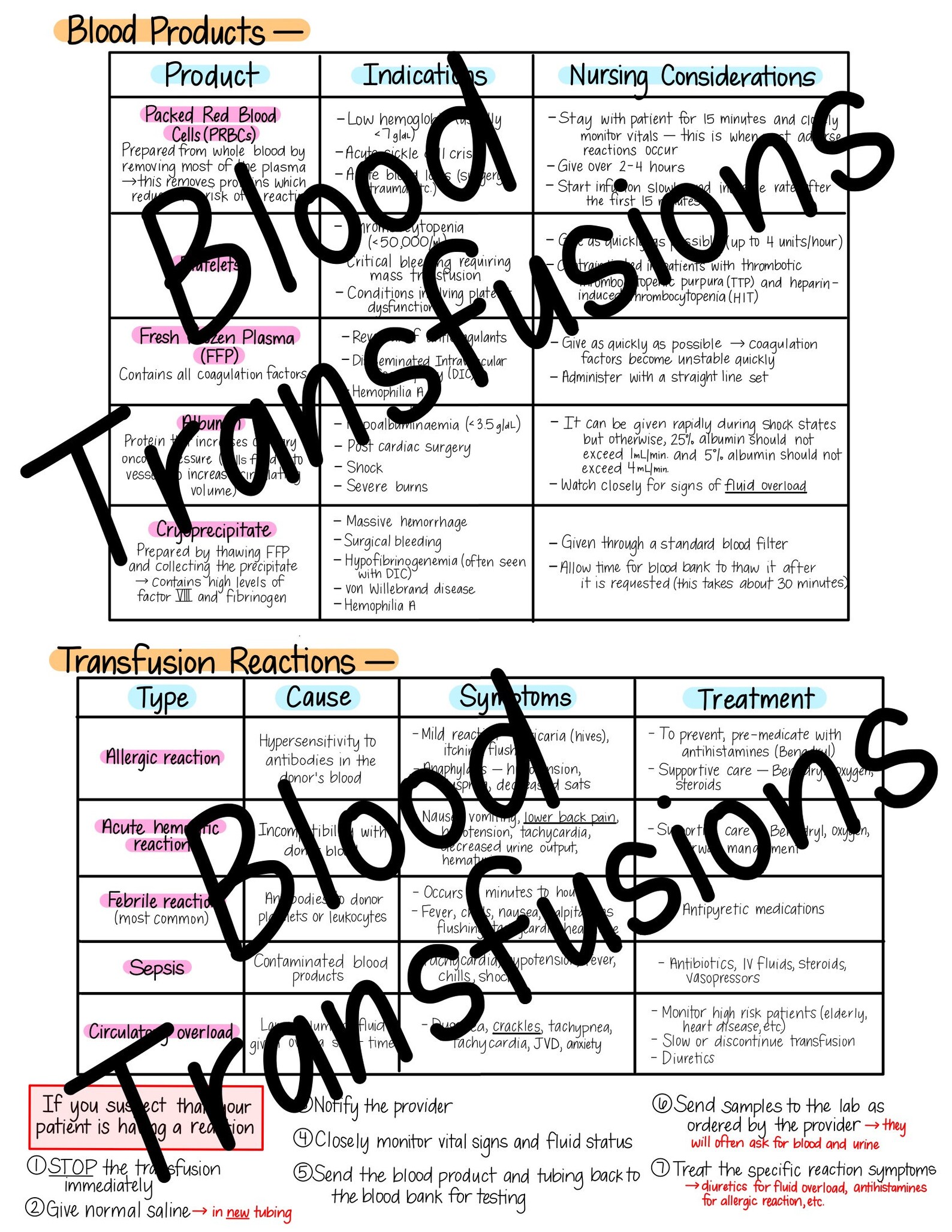 Blood Transfusions & Reactions - Nursing Study Guide - Etsy