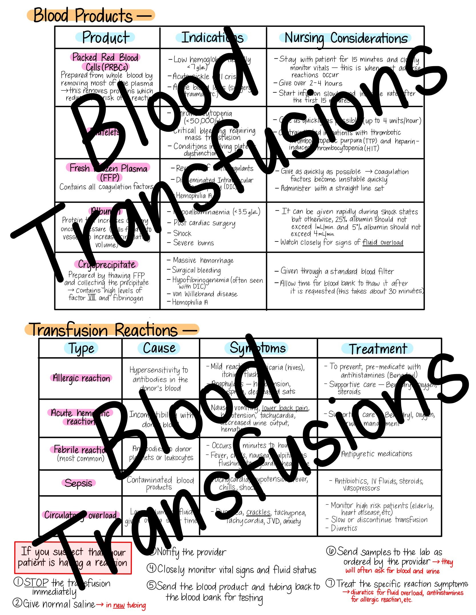 Blood Transfusions & Reactions - Nursing Study Guide - Etsy