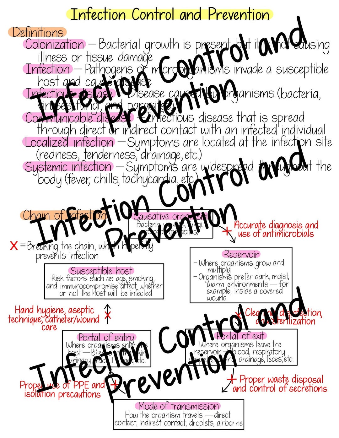Infection Control & Prevention Notes - Nursing Study Guide - Etsy