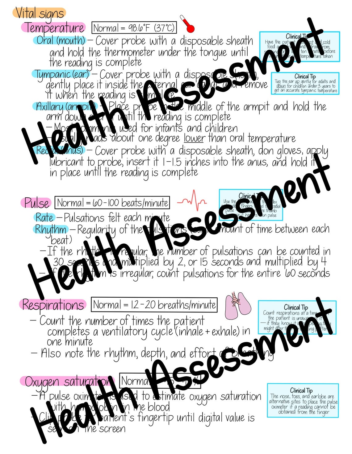 Health Assessment & Vital Signs - Nursing Study Guide - Etsy