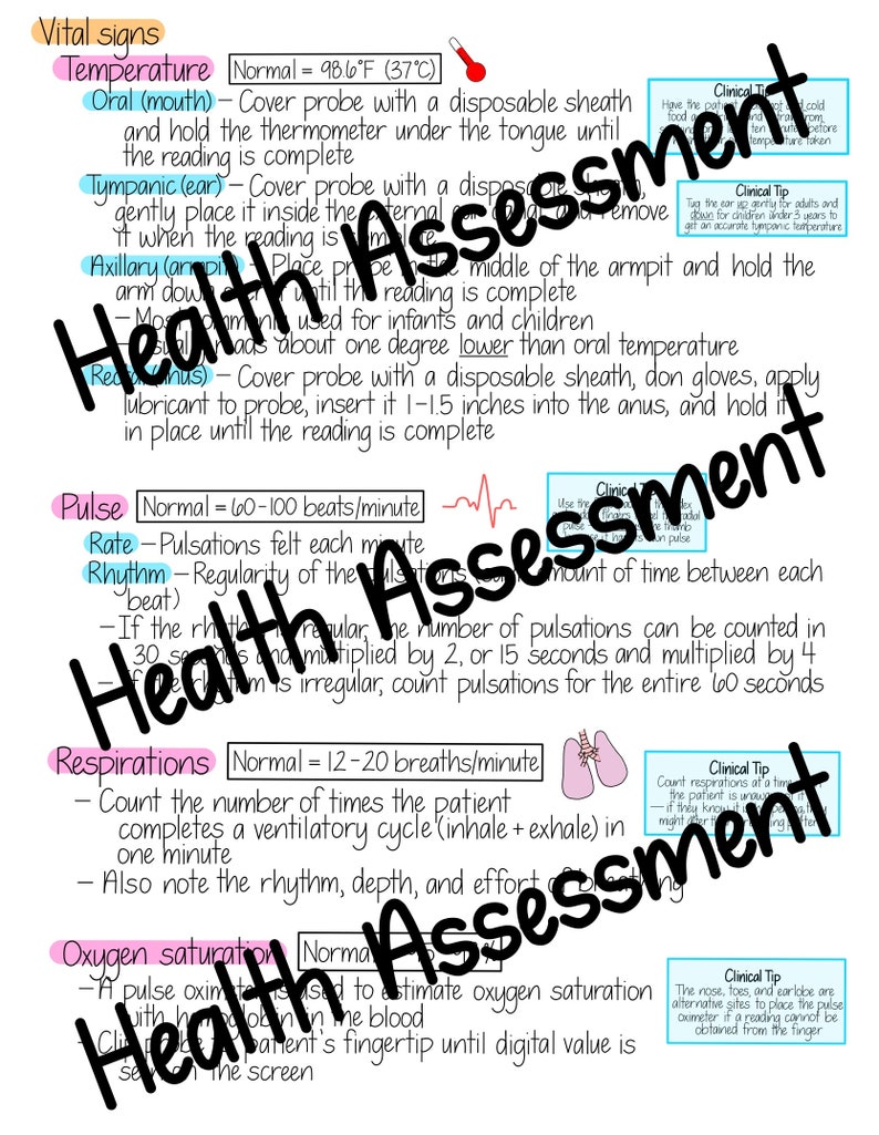 Health Assessment & Vital Signs - Nursing Study Guide - Etsy