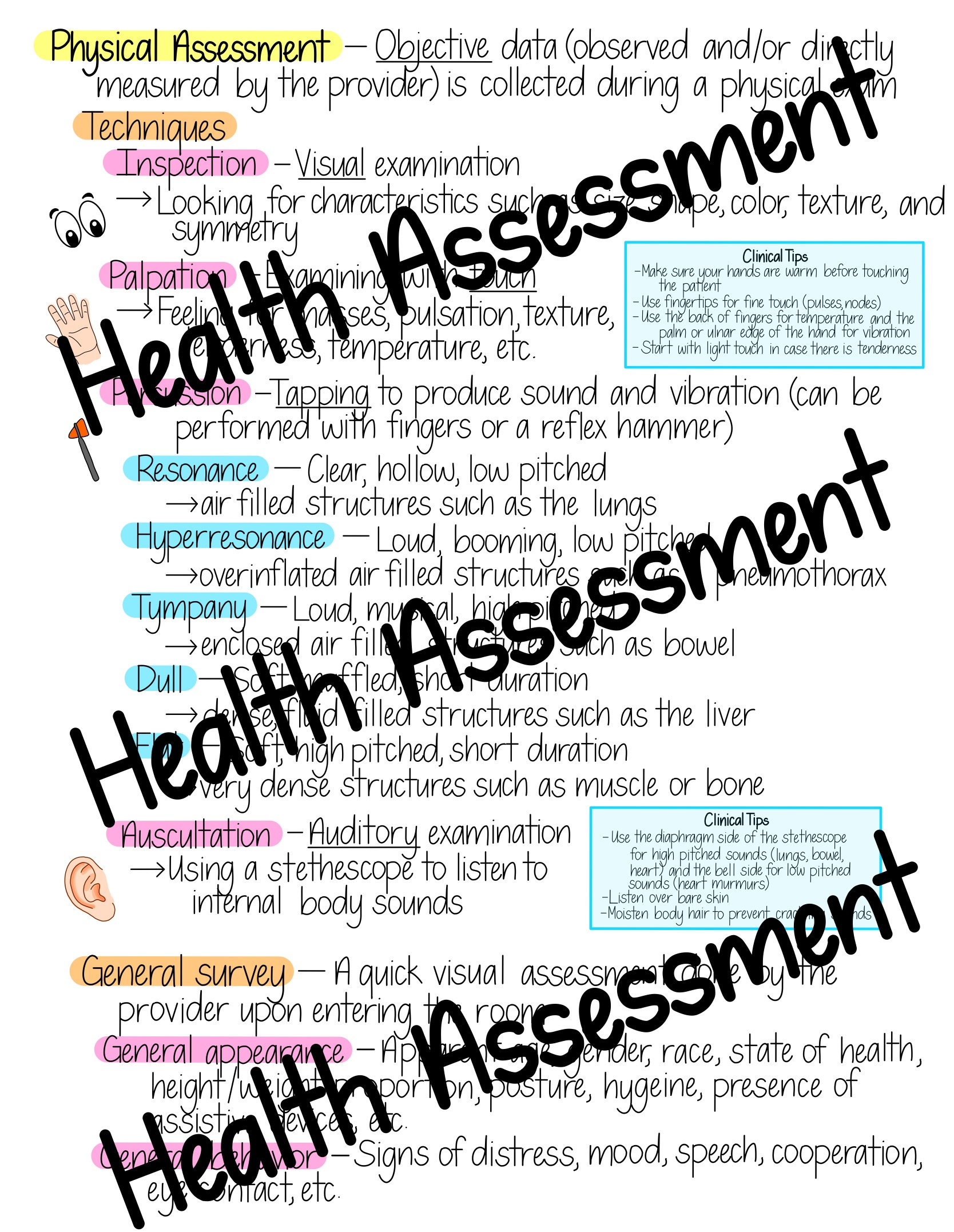 Health Assessment & Vital Signs - Nursing Study Guide - Etsy