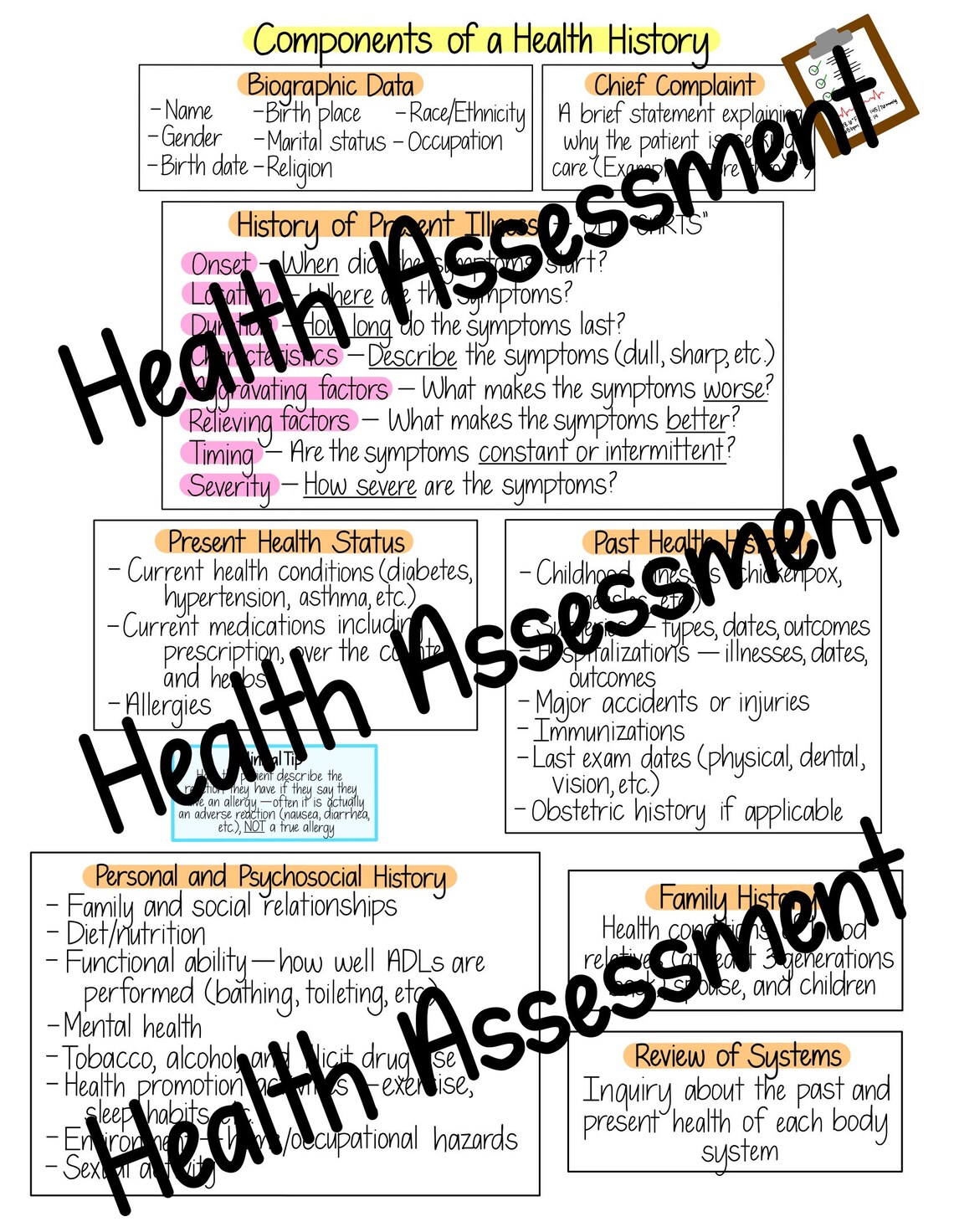 Health Assessment & Vital Signs - Nursing Study Guide - Etsy