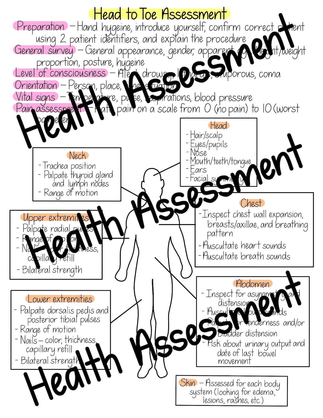Head to Toe Assessment Cheat Sheet - Etsy UK