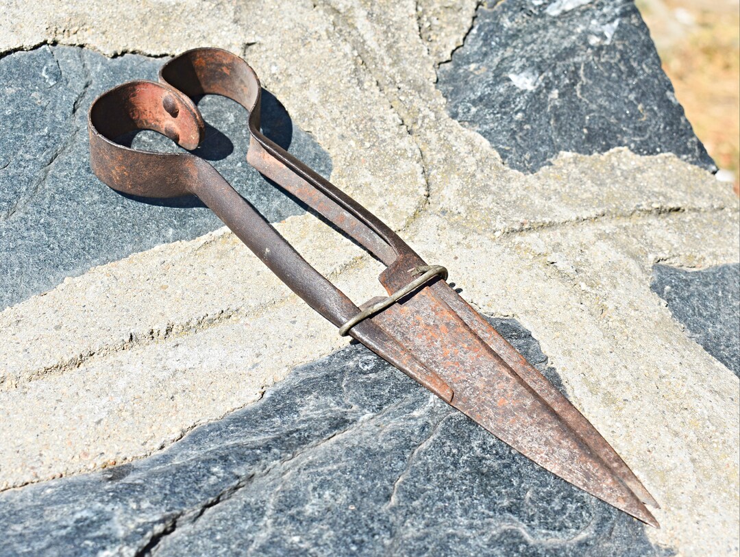 Vintage Wool Scissors Sheep Scissors Hand-forged Scissors - Etsy