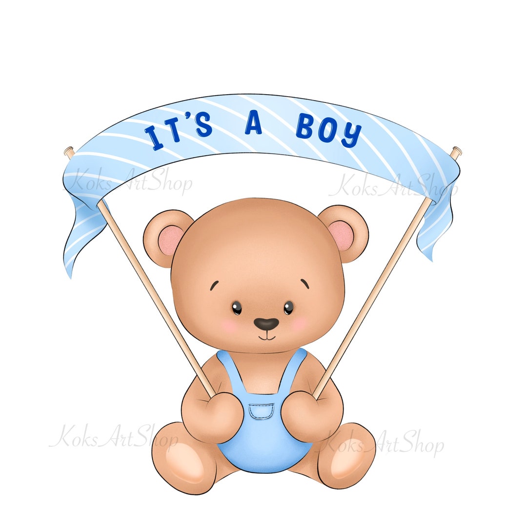 Teddy Bear PNG, Teddy Bear Clipart, Gender Reveal, Baby Birthday ...