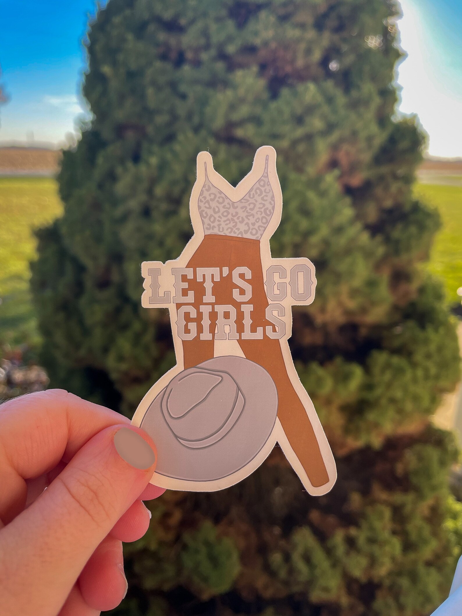 Lets Go Girls Sticker | Etsy