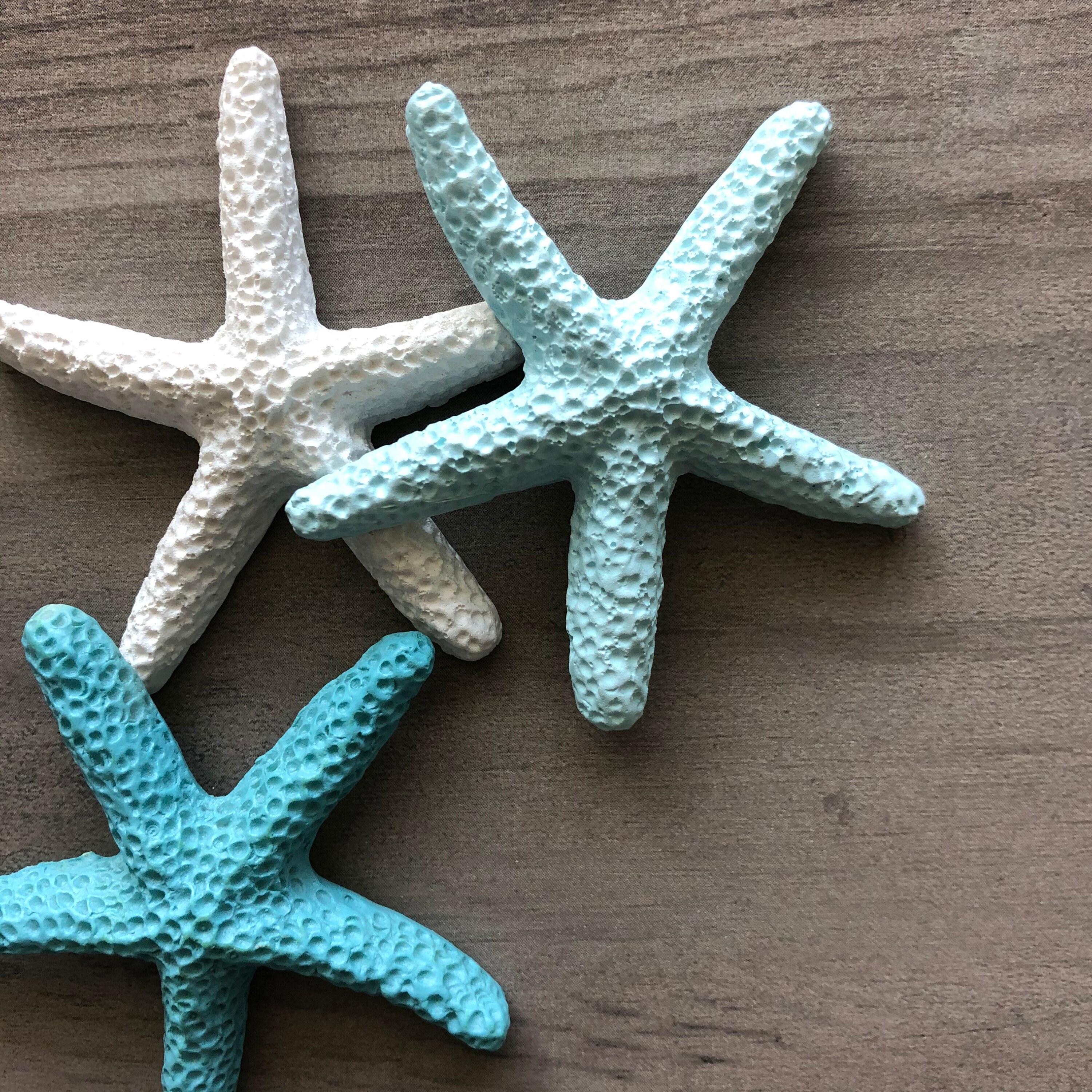 Mini Starfish for Beach Decor Beach Party Beach House or | Etsy