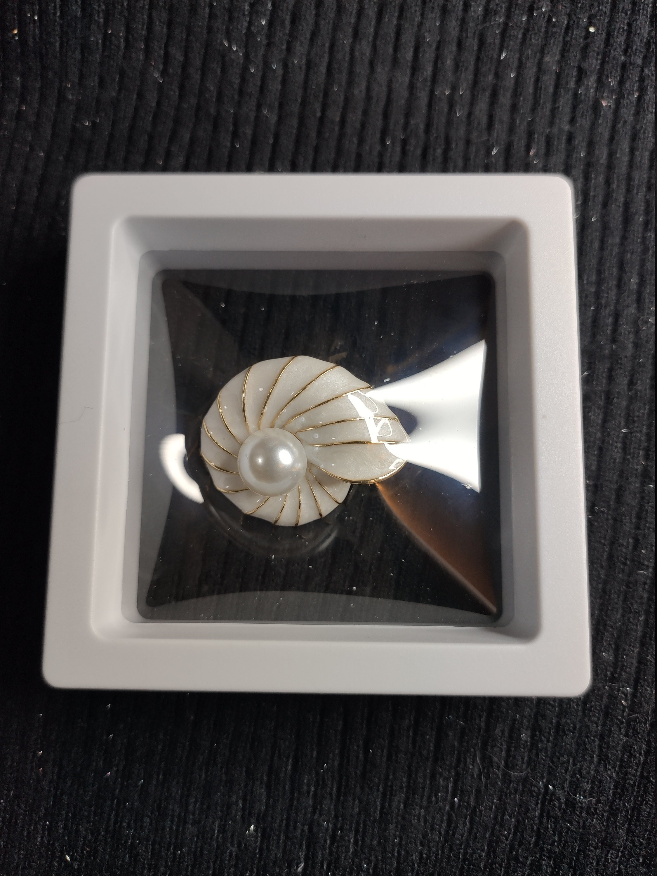 Nautilus Shells With Pearl Brooch - Etsy