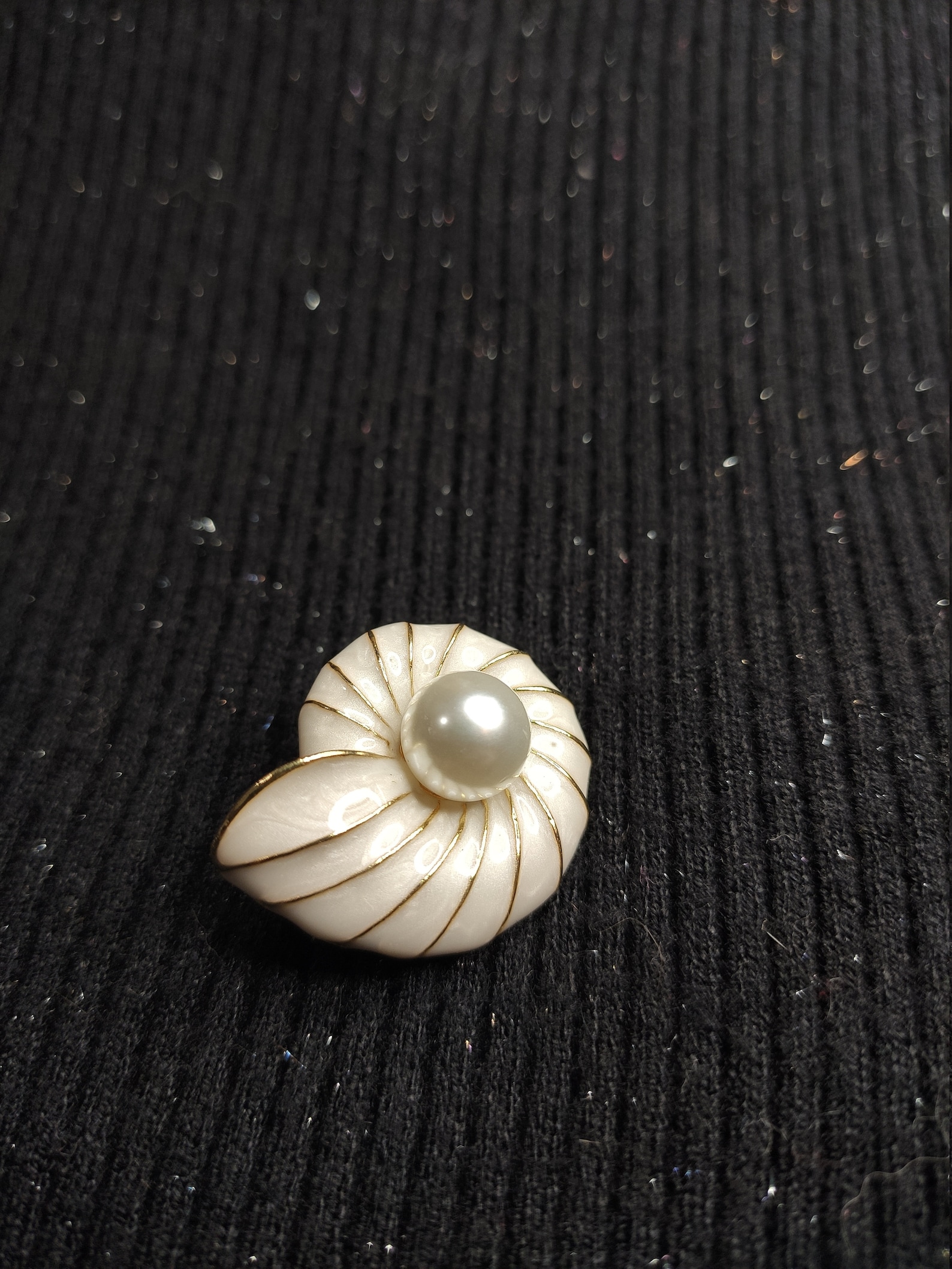 Nautilus Shells With Pearl Brooch - Etsy