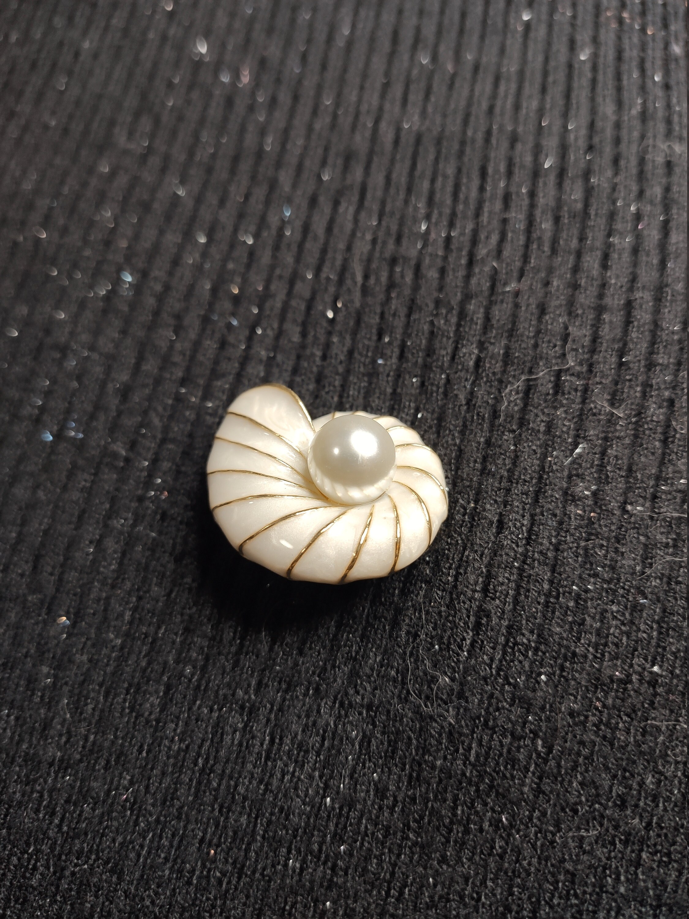 Nautilus Shells With Pearl Brooch - Etsy