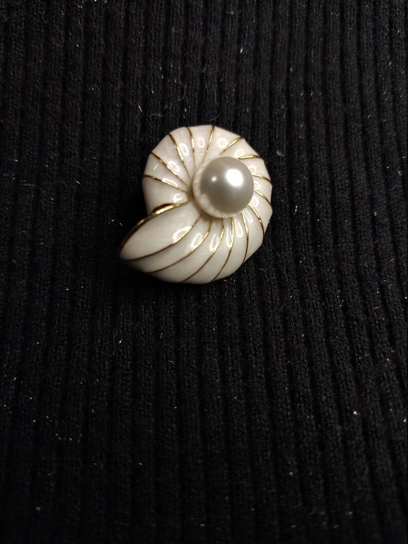 Nautilus Shells With Pearl Brooch - Etsy