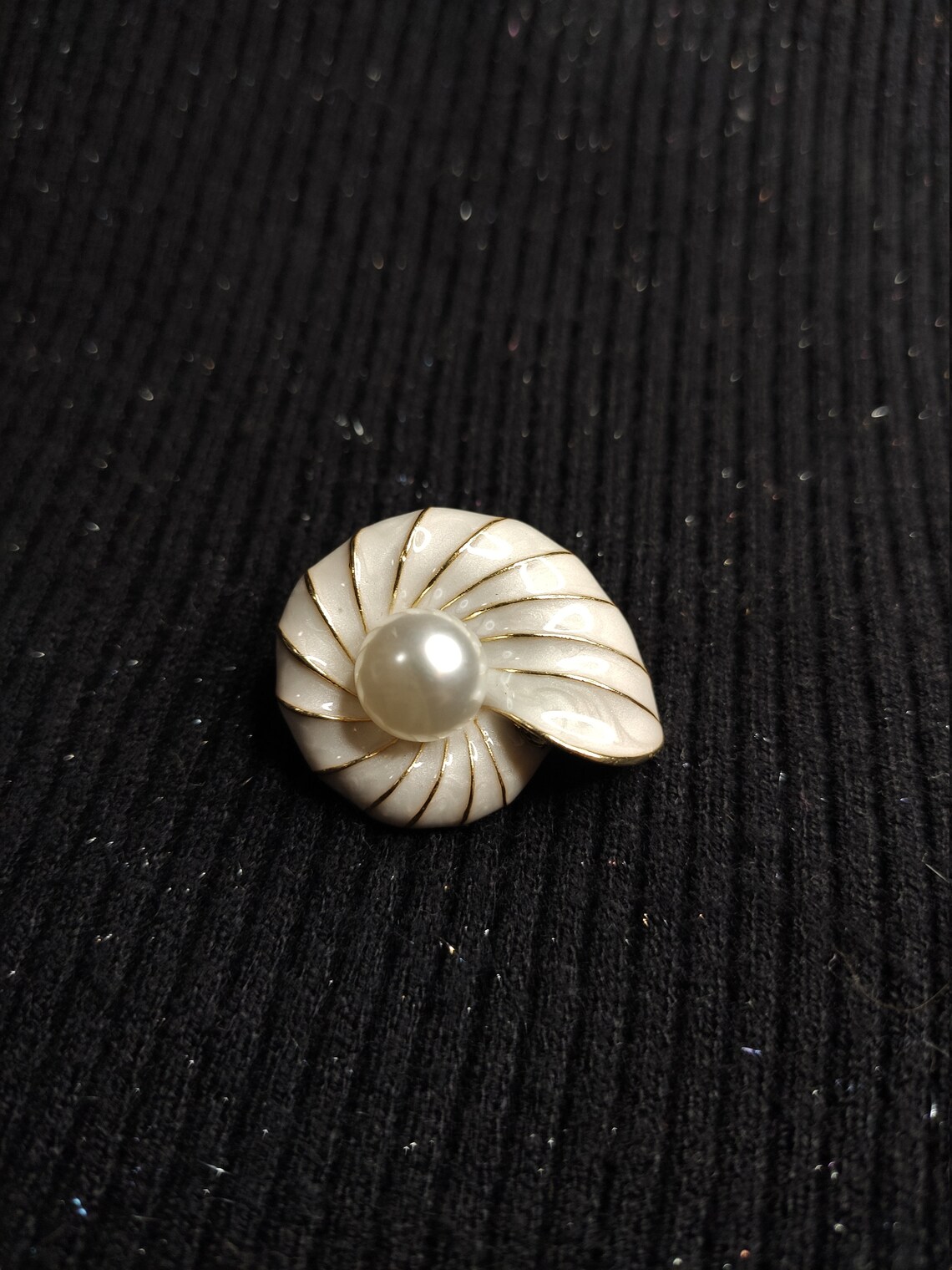 Nautilus Shells With Pearl Brooch - Etsy