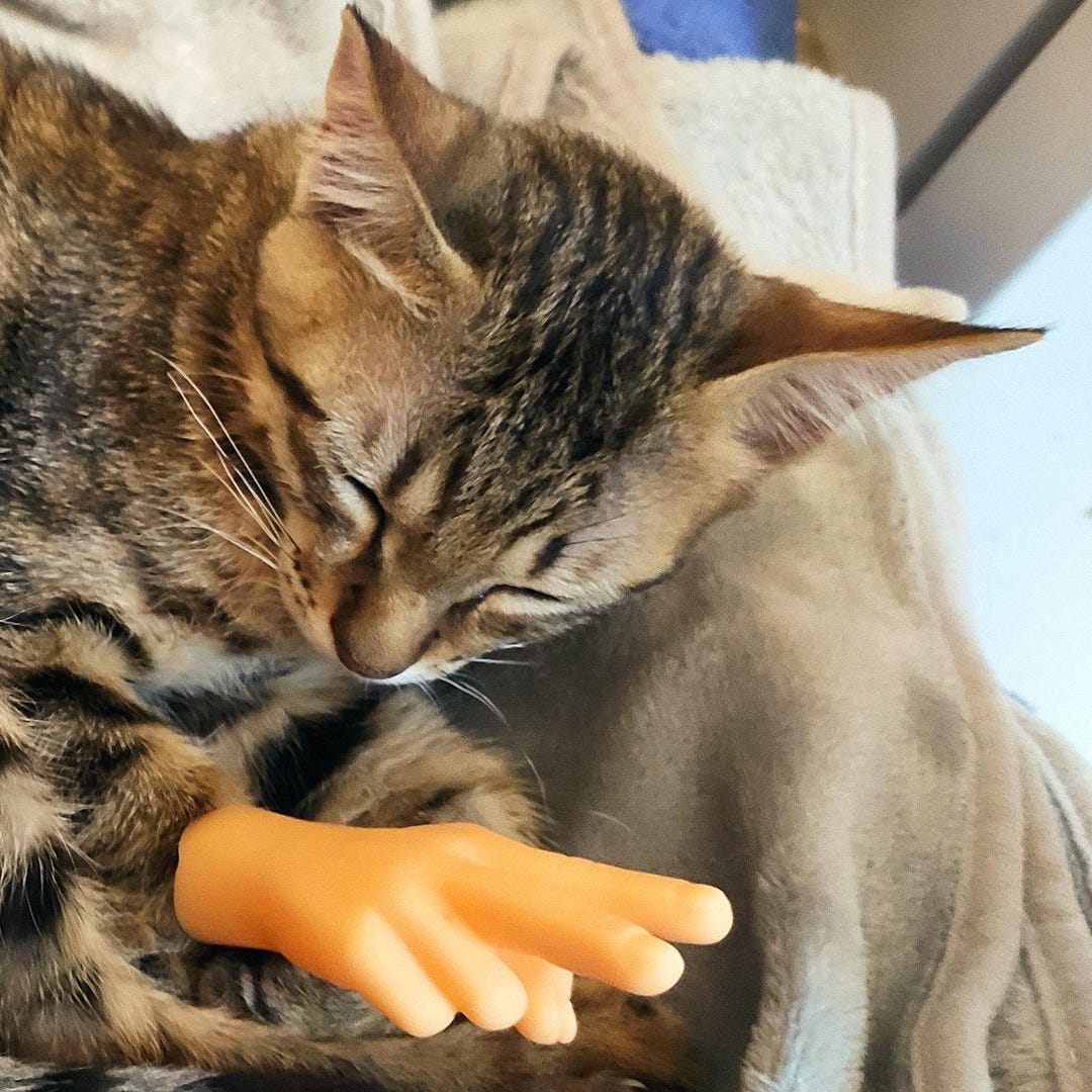 Finger Hands: Tiny Hands for Pranks, Memes & Gifting - Etsy