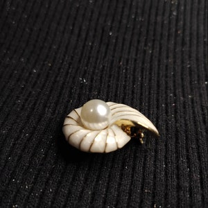 Nautilus Shells With Pearl Brooch - Etsy