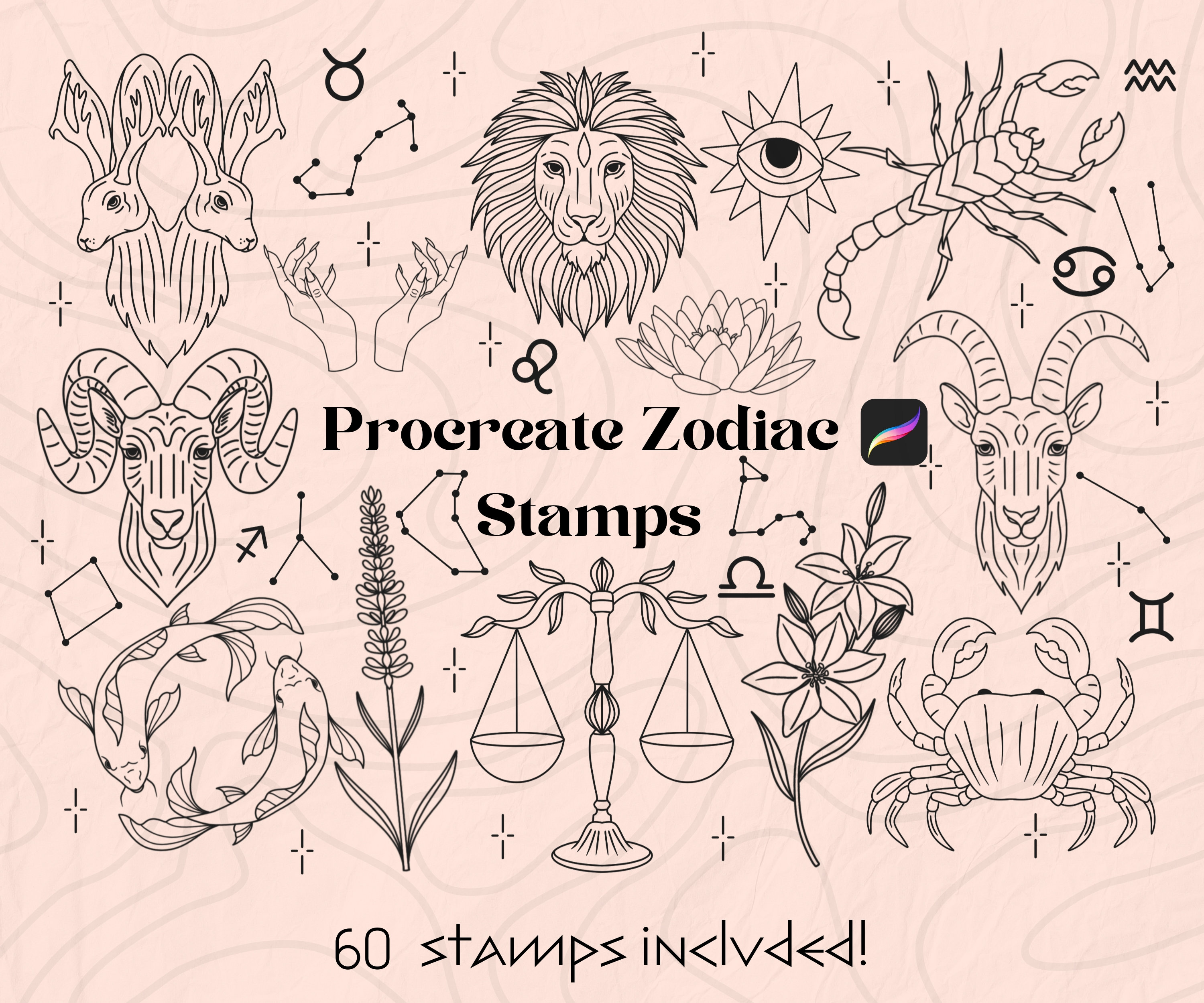 Zodiac signs skits 60 photos - Astrologytoyou.com