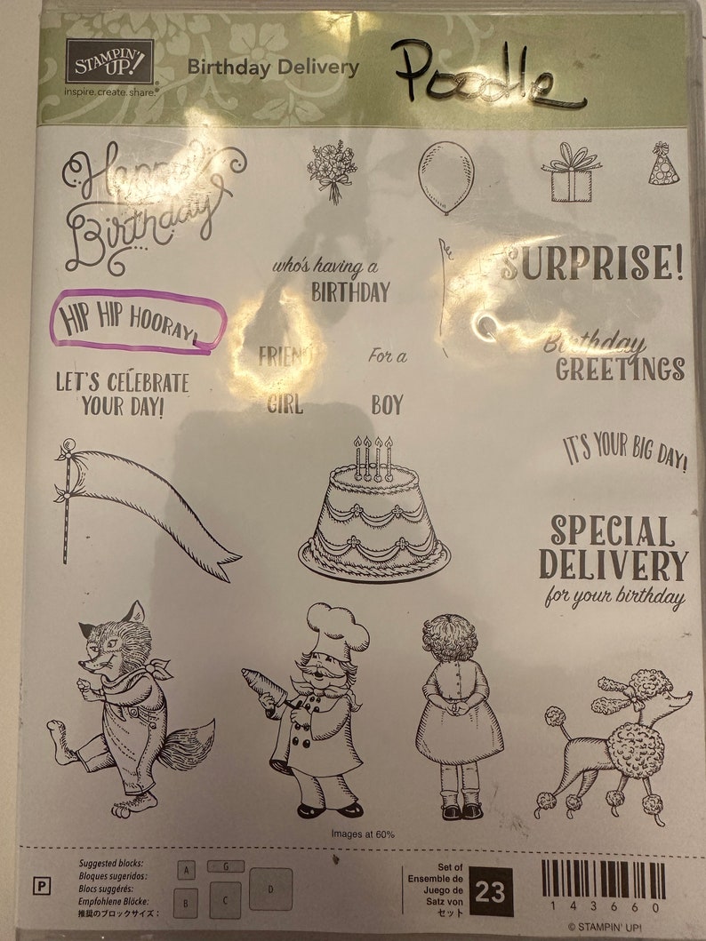 Stampin up Birthday Delivery Bundle 22 Stamps and 10 Dies - Etsy