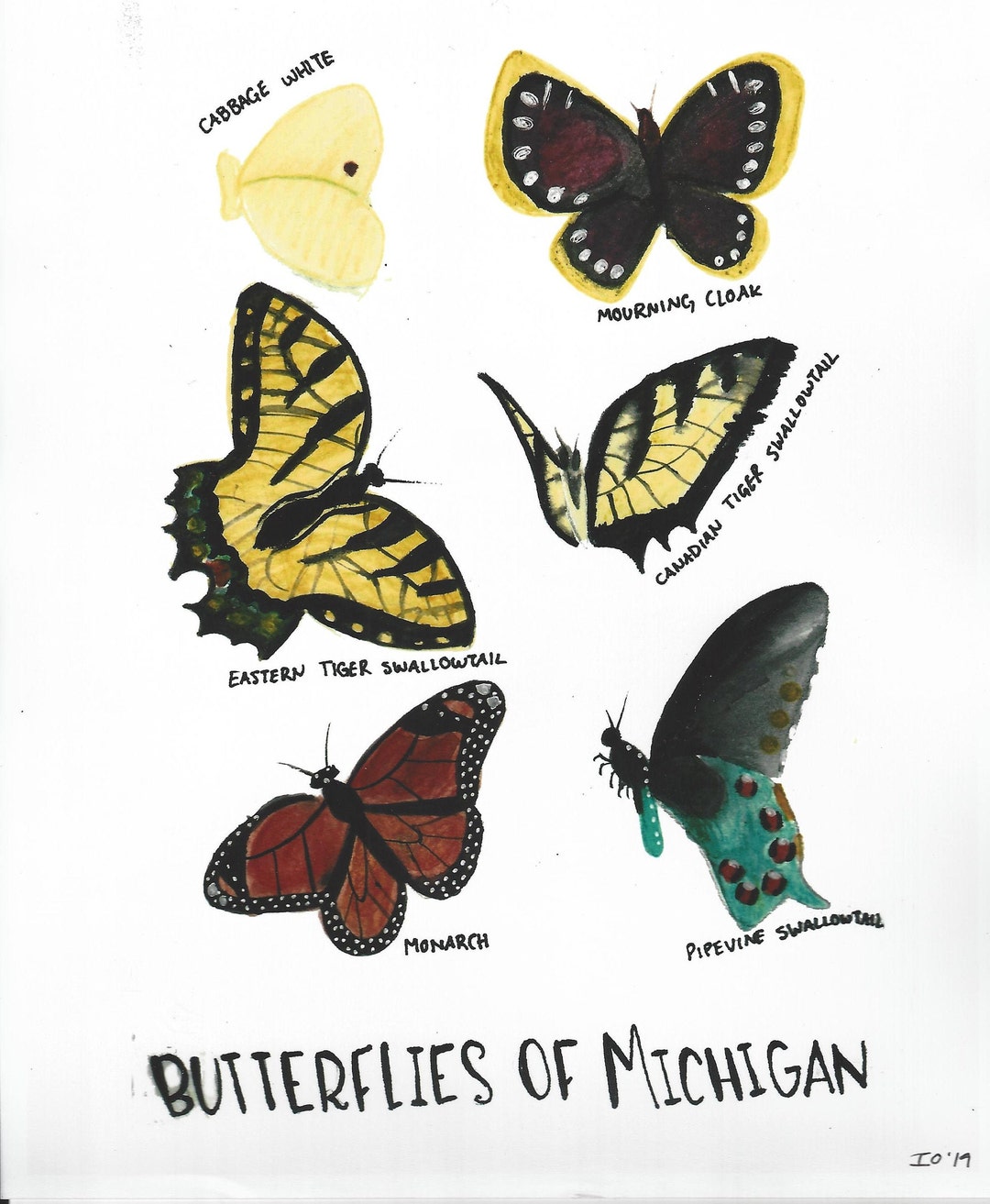 Butterflies of Michigan Print - Etsy