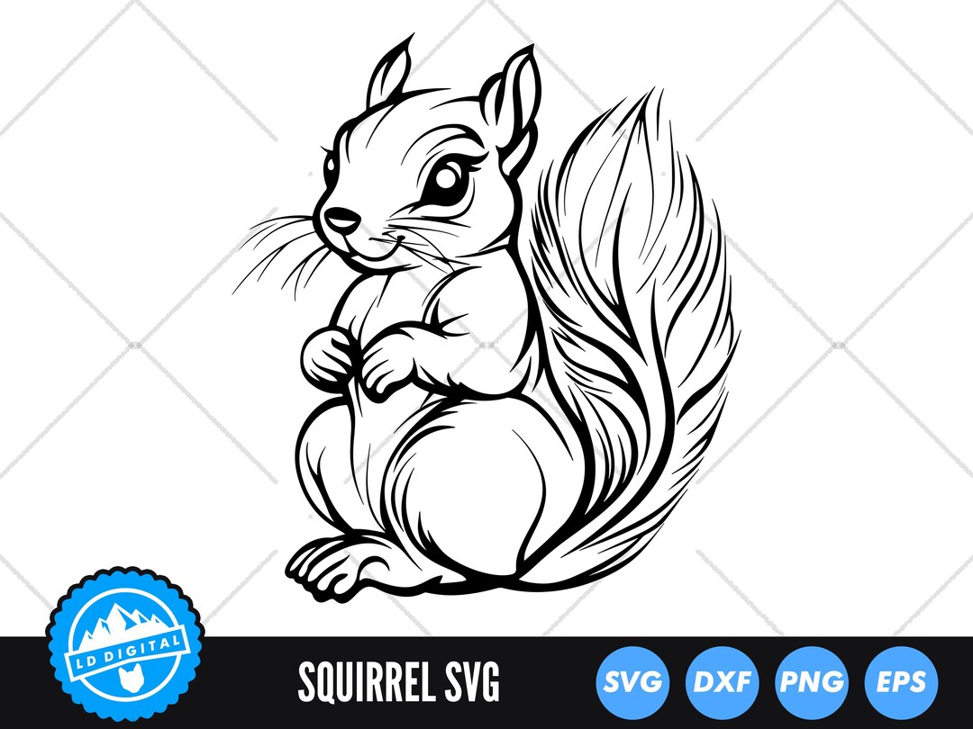 Squirrel SVG Files Cute Squirrel Cut Files Woodland Animal Vector ...