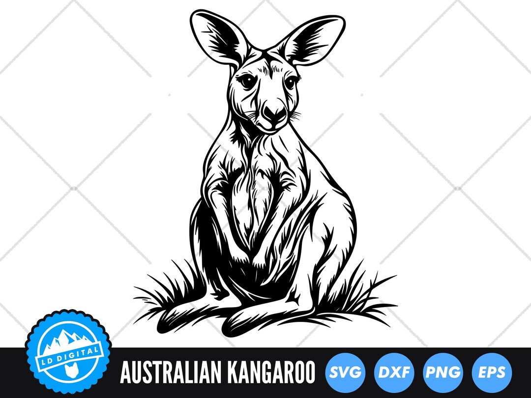 Kangaroo SVG Files | Kangaroo Cut Files | Australian Animal Vector ...