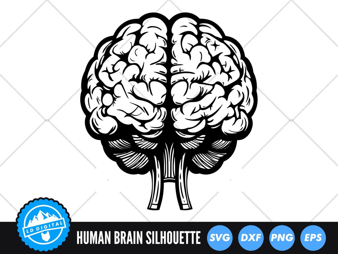 Human Brain SVG Files | Brain Cut Files | Brain Outline Vector ...