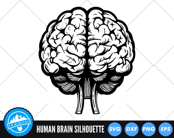 Brain Svg I Side View Brain Png I Human Brain Anatomy Clipart, Cut File ...
