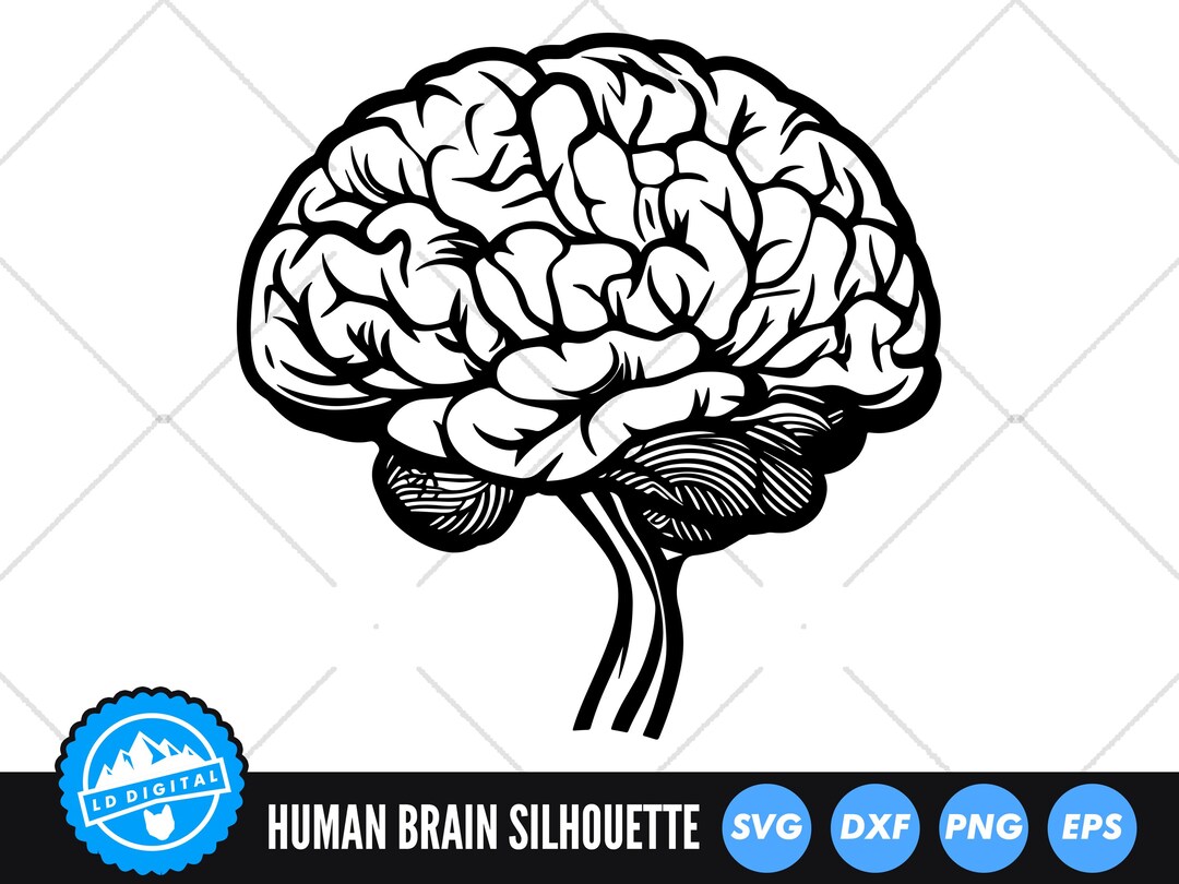 Human Brain SVG Files | Brain Cut Files | Brain Outline Vector ...