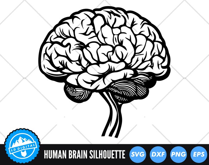 Brain Svg I Side View Brain Png I Human Brain Anatomy Clipart, Cut File ...