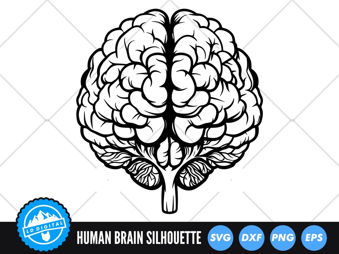 Human Brain SVG Files | Brain Cut Files | Brain Outline Vector ...