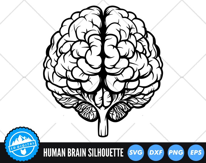 Brain Svg I Side View Brain Png I Human Brain Anatomy Clipart, Cut File ...