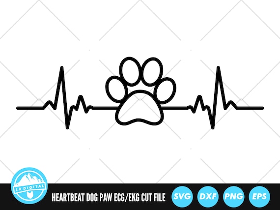 How Is An Ekg Done On A Dog