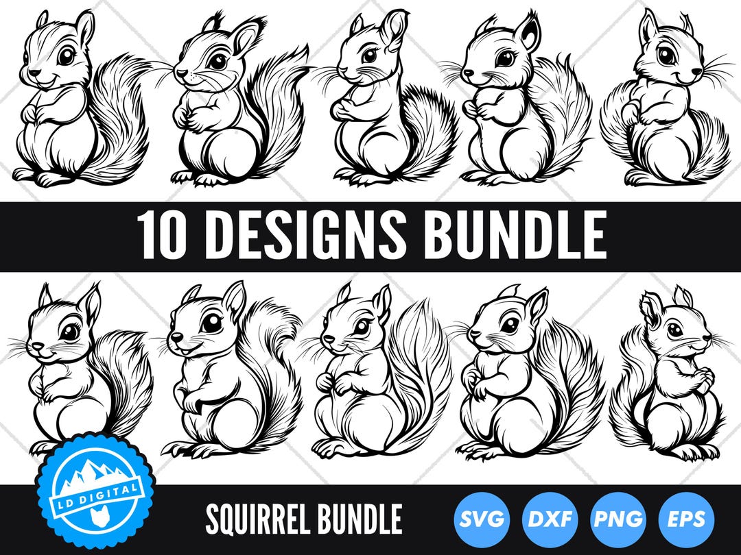 Squirrel Bundle SVG Files | Cute Squirrel Cut Files | Woodland Animal ...