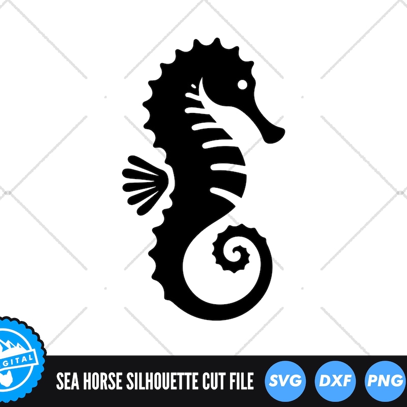 Sea Shell Outline Drawing - Etsy