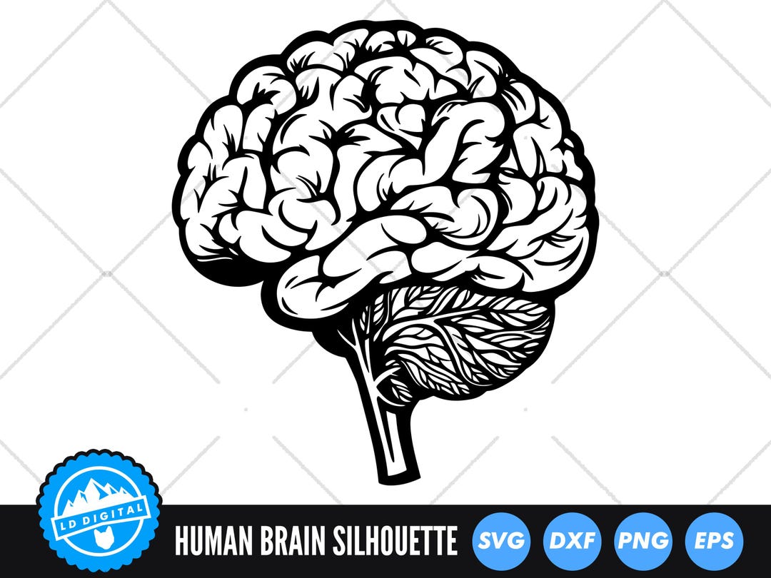 Human Brain SVG Files | Brain Cut Files | Brain Outline Vector ...