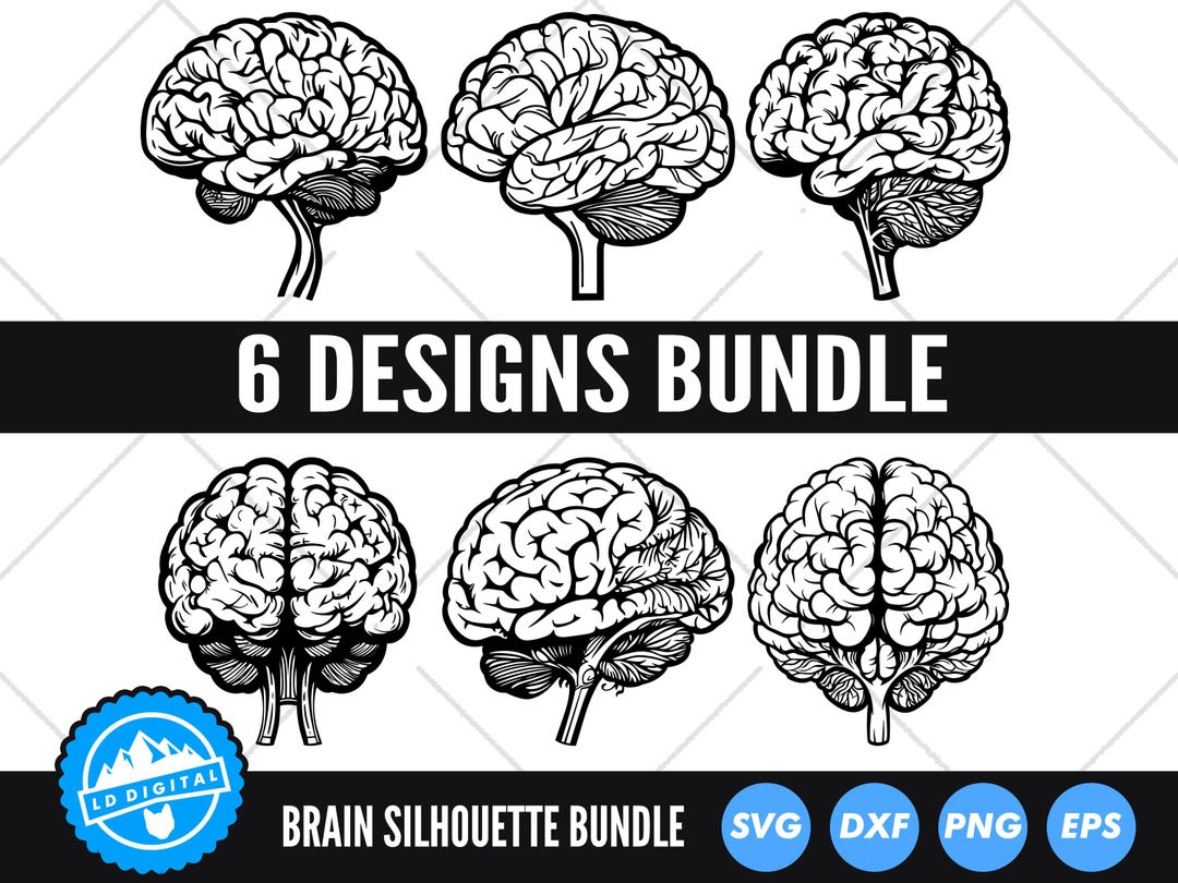 Human Brain SVG Files | Brain Cut Files | Brain Outline Vector ...