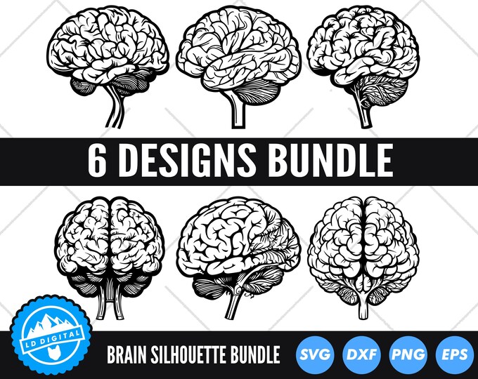 Brain Svg I Side View Brain Png I Human Brain Anatomy Clipart, Cut File ...